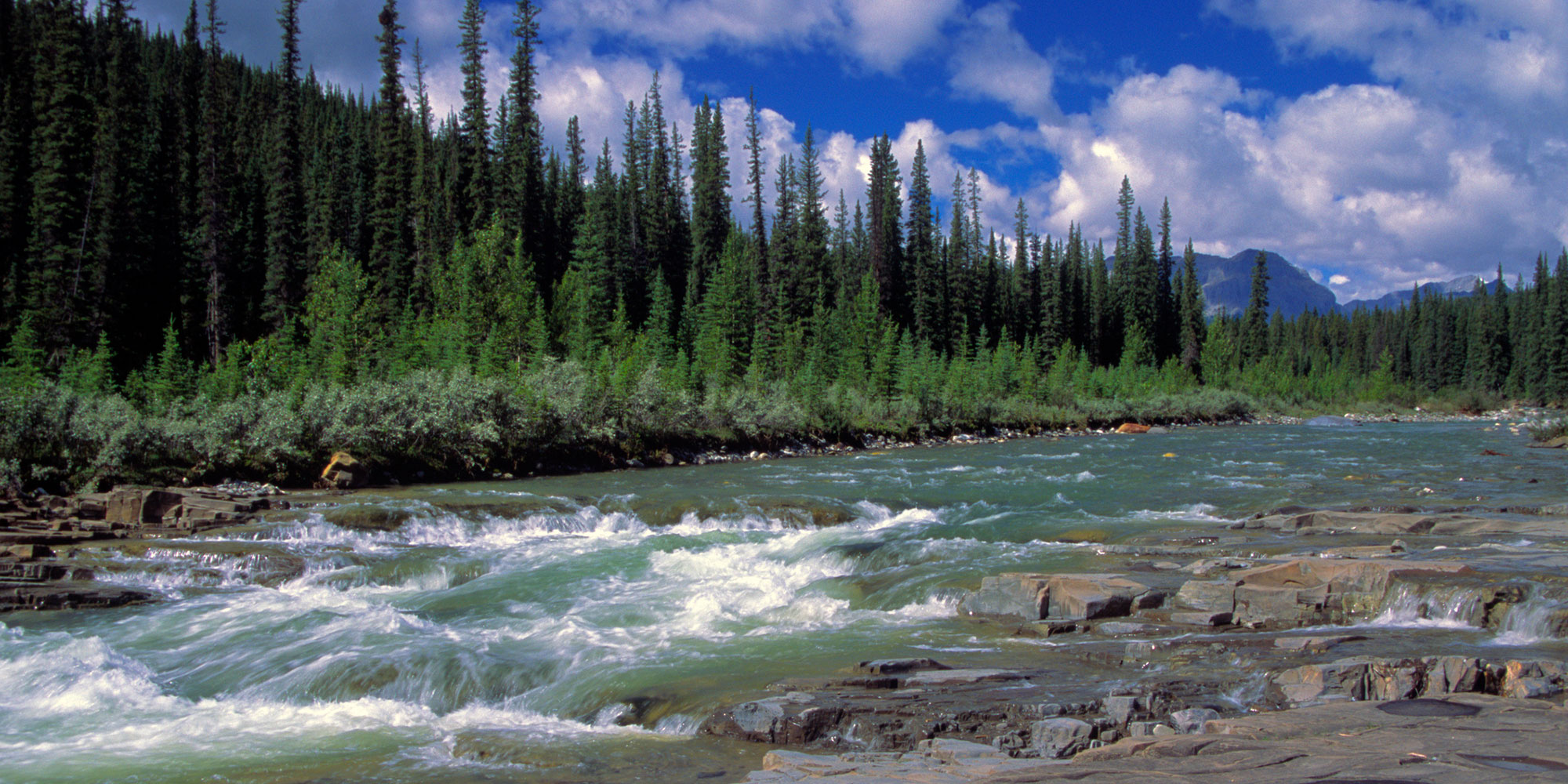 3 water myths debunked for World Water Day - techlifetoday